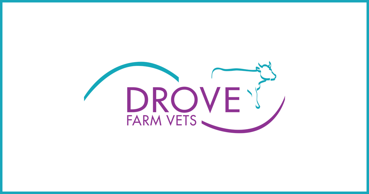 About Us | Drove Farm Vets Swindon