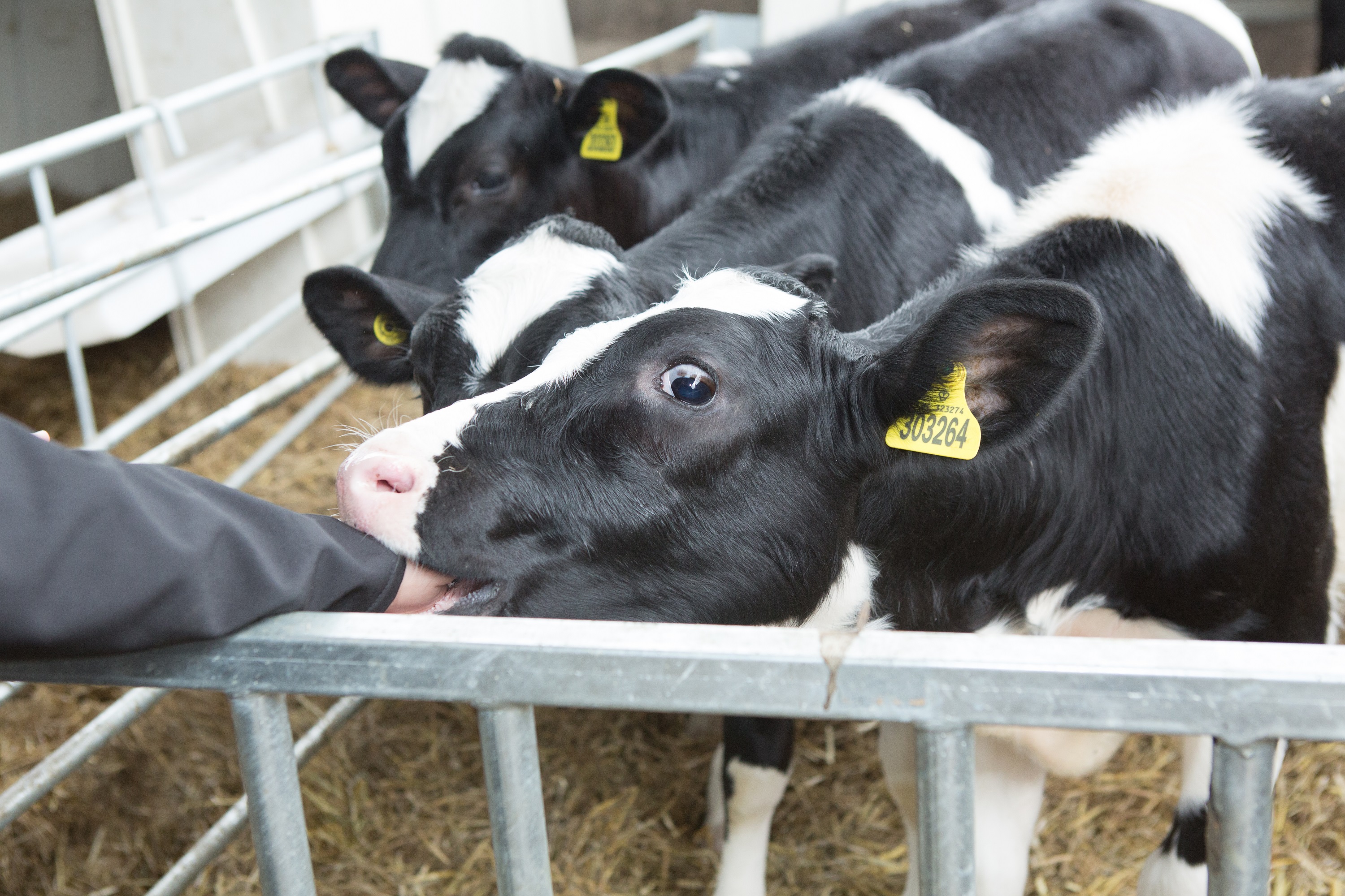 Index of /uploads/Farm